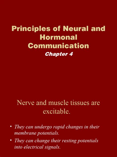 4neural And Hormonal Pdf Chemical Synapse Inhibitory