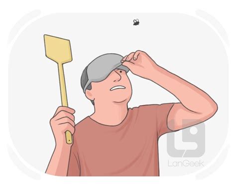 Definition And Meaning Of Vexation Picture Dictionary