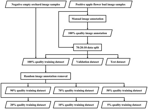 Accuracy Comparison Of Yolov7 And Yolov4 Regarding Image Annotation Quality For Apple Flower Bud