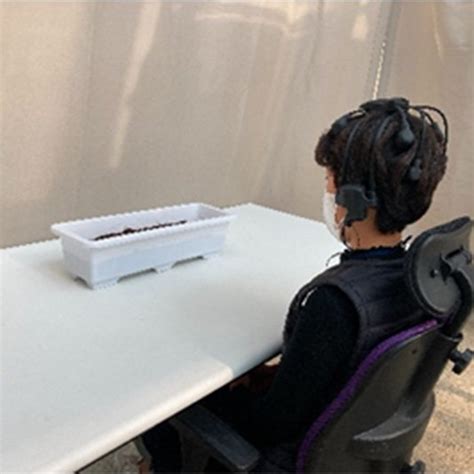 Experimental Protocol EEG Electroencephalography Download Scientific Diagram