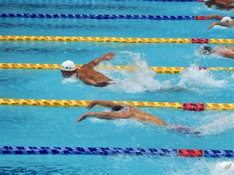 【高校水泳部】インターハイ総合優勝 写真集 日本大学豊山高等学校・中学校