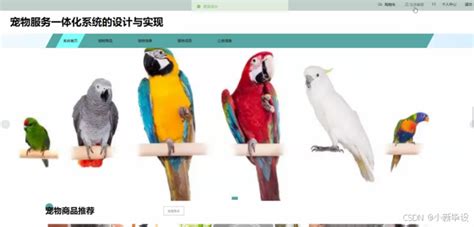 计算机毕业设计springboot宠物服务一体化系统的设计与实现 基于spring Boot的宠物服务综合管理系统开发与实践 Spring