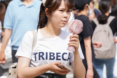 世界气象组织预警：厄尔尼诺或致今后气温“创纪录” 新华网客户端