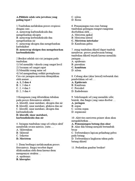 80 Soal Struktur Dan Jaringan Tumbuhan Pdf