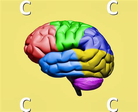 Best C Programming Courses And Certificates 2025 Coursera Learn Online