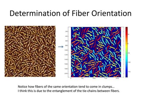 Orientation Algorithm 1 Ppt