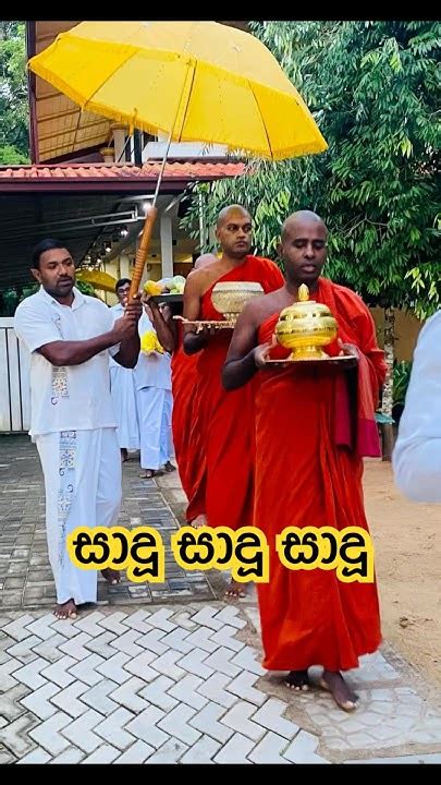 නමෝ බුද්ධාය පින්බර බිනර පුන් පොහෝ දින සිදුකල සීල භාවනා වැඩ සටහන Shorts Shortvideo Youtube