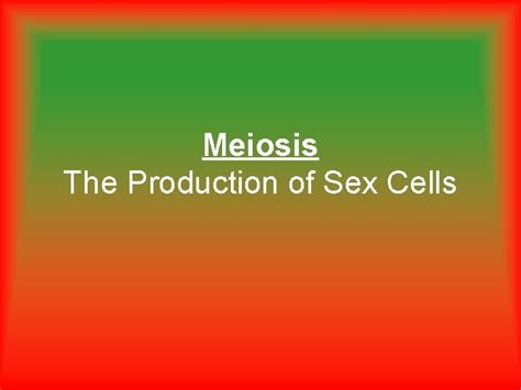 Meiosis The Production Of Sex Cells How Many