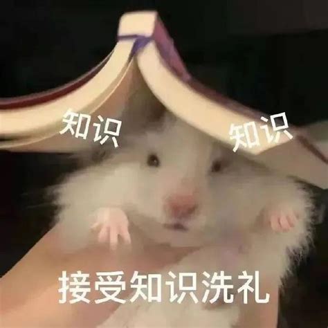 近期热门表情包 加油把公司干倒闭 哔哩哔哩