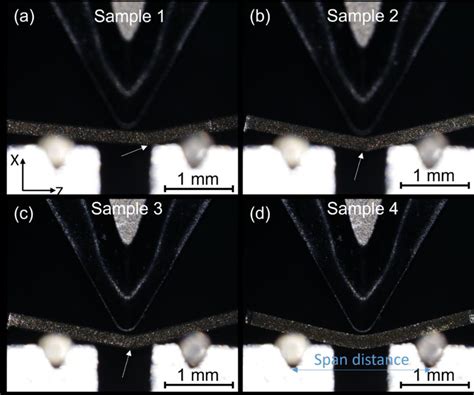 Pictures Of 3pb Samples At The End Of The Tests A As Shown By The