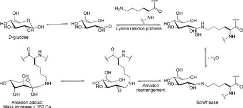 Figure 1 From Common Post Translational Modifications Ptms Of Proteins Analysis By Up To Date