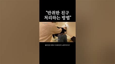 만취한 친구는 이렇게 처리하세요 Youtube 만취한 친구는 이렇게 처리하세요 Youtube