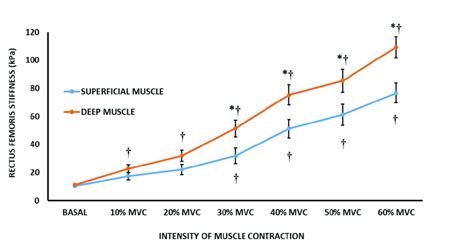 Rectus Femoris Stiffness During An Isometric Strength Test At Different