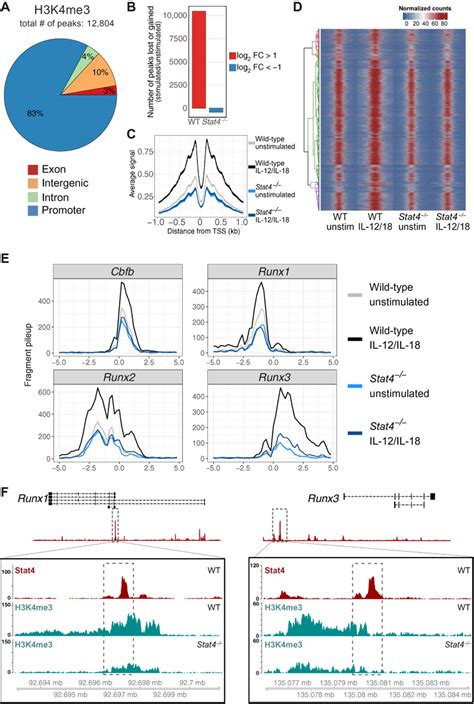 Core Binding Factor β And Runx Transcription Factors Promote Adaptive Natural Killer Cell