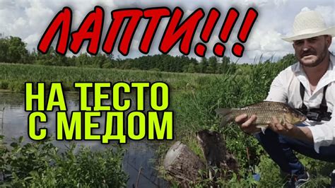 КРУПНЫЕ КАРАСИ на МЕДОВОЕ ТЕСТО. рыбалка НА КАРАСЯ. ловля карася - YouTube