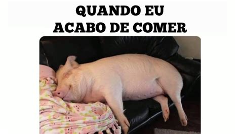 Melhores Memes Em Imagens Quando Eu Acabo De Comer Youtube