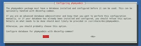 How To Install PhpMyAdmin With Nginx On Linux Mint 19 Linux Mint 18