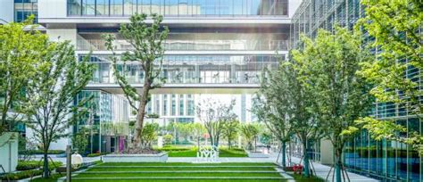 news nyu shanghai
