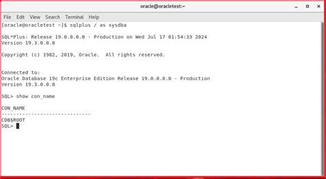 Local Undo Mode Vs Shared Undo In Oracle Dot Net Tutorials