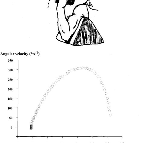 Torqueangular Velocity Relationships Established Using A Constant Torqueangular Velocity Relationships Established Using A Constant