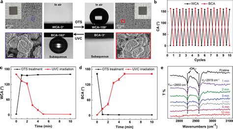 Switchable Wettability Of Laser‐roughened Al Surfaces A Scanning Download Scientific Diagram