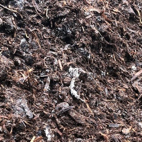 The Benefits Of Using Spent Mushroom Compost Ahs Ltd