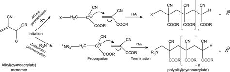 17 Anionic And Cationic Polymerization Techniques Of Download