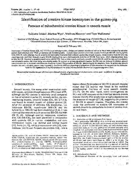 Pdf Identification Of Creatine Kinase Isoenzymes In The Guinea Pig