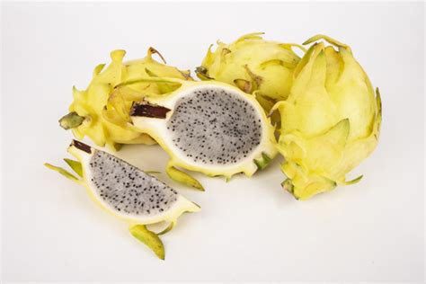 黄金火龙果图片大全黄金火龙果设计素材黄金火龙果模板下载黄金火龙果图库昵图网