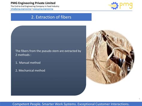 Banana Pseudostem Extraction And Utilization Pptx