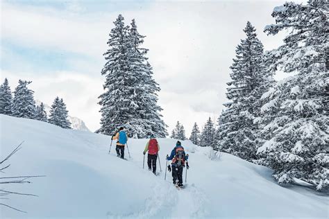 Best Winter Activities In Interlaken And The Jungfrau Region 2025 Guide