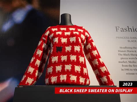 Princess Dianas Sheep Sweater Sells For 11 Million Makes History