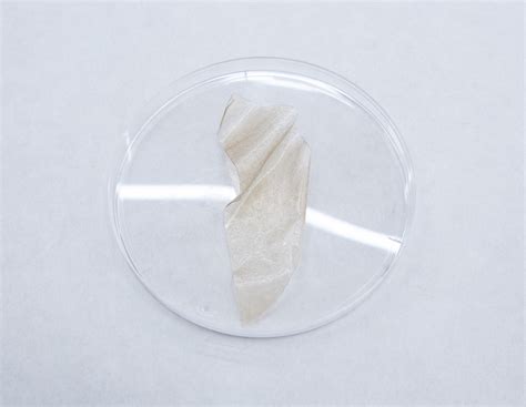 Enzymatic Plastic Depolymerization Process Entzimatiko