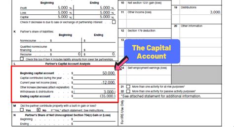 What Is Tax Basis On K1 At Hunter Wang Blog