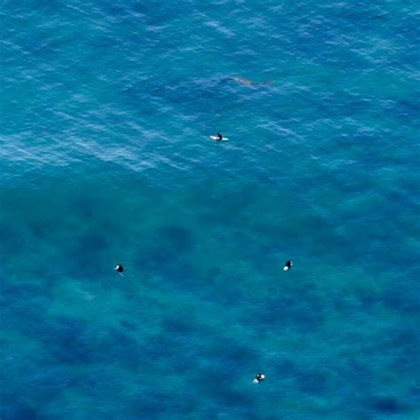 Blake Bernstein Youtube