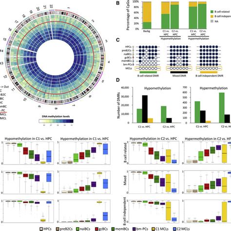 Deconvolution Of Dna Methylation Data And In Silico Purification Of Mcl Download Scientific
