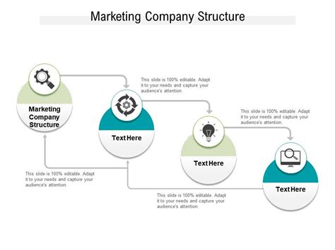 marketing company structure ppt powerpoint presentation file themes cpb powerpoint slides