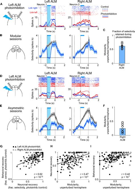 Figure 4 From Modularity And Robustness Of Frontal Cortical Networks Semantic Scholar
