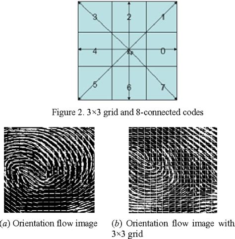 Figure 2 From An Effective Method For Fingerprint Classification Semantic Scholar