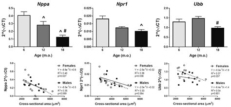 Age And Sex Dependent Differences In Extracellular Matrix Metabolism Associate With Cardiac