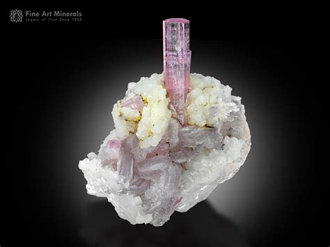 Tourmaline With Lepidolite T Pnk 58 Fine Art Minerals