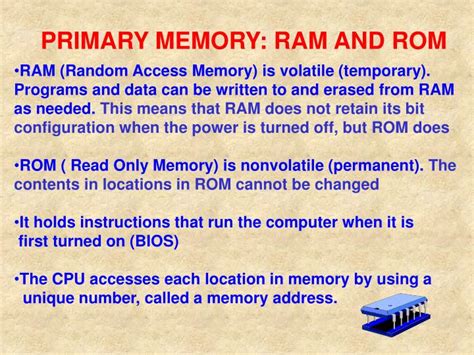 Differences Between Ram And Rom Bzu Science
