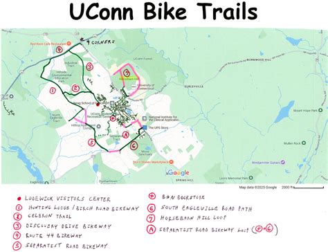 Uconn Campus Trails Dendrology 101 Letterbox