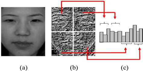 Frame Level Feature Generation Process A B And C Are The Download Scientific Diagram