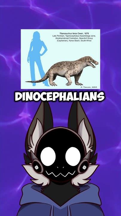 Titanosuchus A Giant Predator From 260 Million Years Ago Youtube