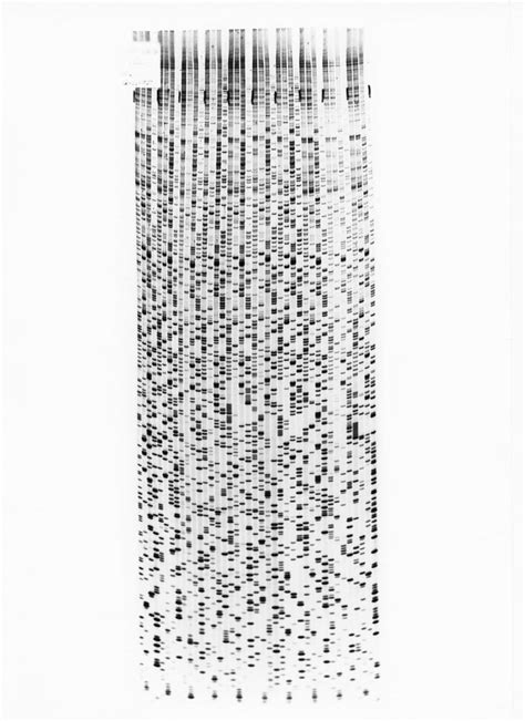 What Is Sanger Sequencing