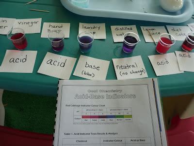 Experiment 13 Red Cabbage PH Indicator Results Homebabe Den