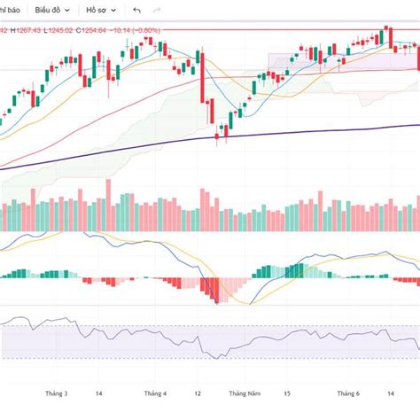 Pvs Tổng Ctcp Dịch Vụ Kỹ Thuật Dầu Khí Việt Nam