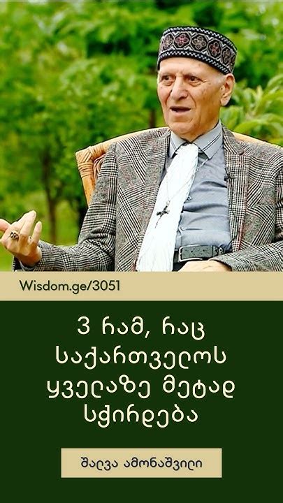 3 რამ რაც საქართველოს ყველაზე მეტად სჭირდება შალვა ამონაშვილი Youtube