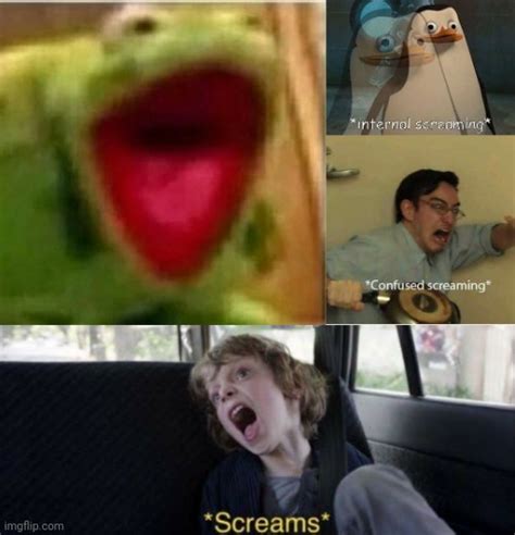 Internally Screaming Kermit 